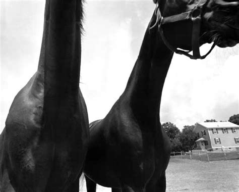 Cheryle St Onge Guggenheim Fellowship Award Lenscratch