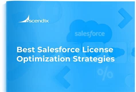 Top Strategies For Salesforce License Optimization [pdf]