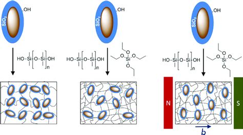 Schematic Representation Of The Network Architecture Of The Hybrid Download Scientific Diagram