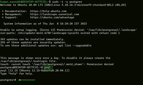 How To Connect PostgreSQL Database In Linux DatabaseFAQs