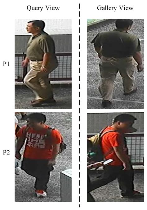 Lightweight Multimodal Domain Generic Person Reidentification Metric For Person Following Robots