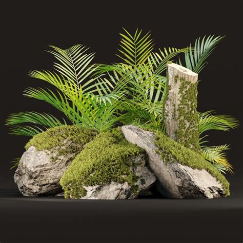 이끼 바위와 열대 식물 3d 모델 사실적인 자연 자산 3d 모델 Turbosquid 2377466