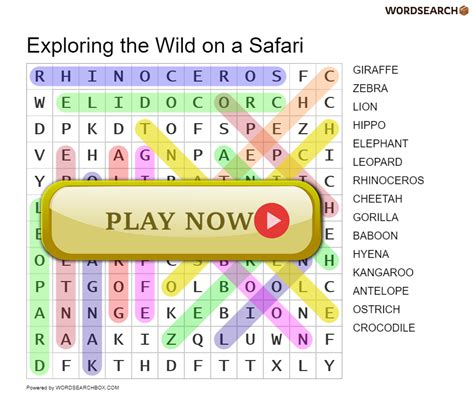 Exploring The Wild On A Safari