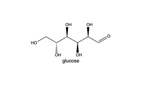 Which Of The Following Is Not A Monosaccharide A Glucos Quizlet
