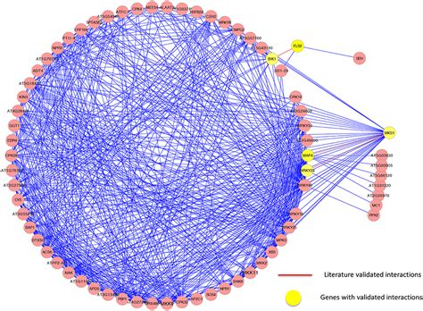 Frontiers Mining Functional Modules In Heterogeneous Biological