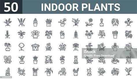 신자 자미아 선인장 즙이 많은 난초 주철 거베라 데이지 벡터 얇은 아이콘 보고서 프리젠 테이션 다이어그램 웹 디자인 모바일 앱과 같은 50 개의 개요 웹 실내 식물 아이콘