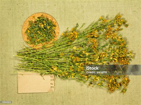 투산 대체 의학 식물 요법 스파 또는 허브 화장품에 사용하기위한 건조 허브 주입 달인 또는 팅크를 준비합니다 분말 연고 오일 또는 차 목욕용 0명에 대한 스톡 사진 및 기타