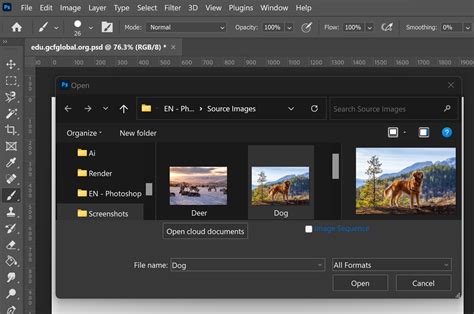 Photoshop Interface Overview At Eddie Randolph Blog