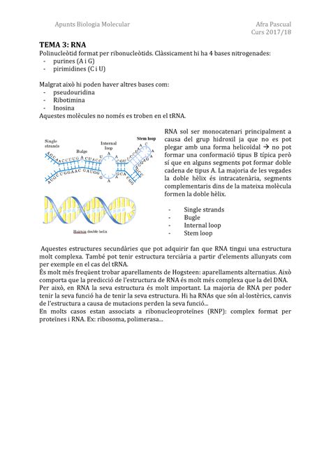Tema Biologia Molecular Apunts Biologia Molecular Afra Pascual Curs TEMA RNA Format Per