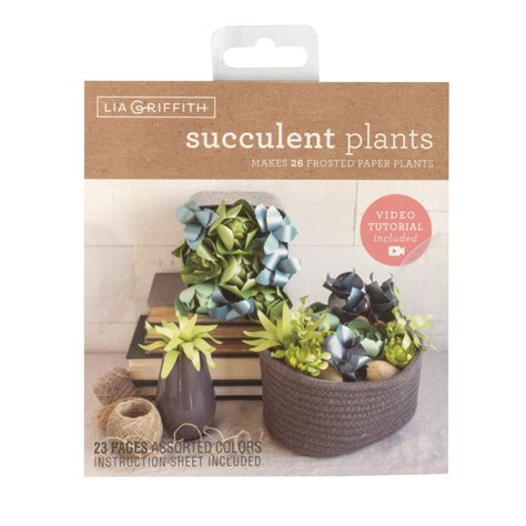 Lg Ppr Stack 6x65 Succulents Michaels