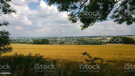 농업 농장 Cotswolds 프리 글로스 터 셔 영국 영국 아름 다운 풍경 0명에 대한 스톡 사진 및 기타 이미지 0명