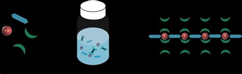 2 Schematic Illustration Of A One Pot Synthesis Reaction For The