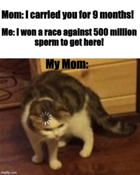 Loading Cat Memes Imgflip