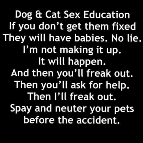 Fancy Feline Rescue Of Fancy Feline Rescue Of The South