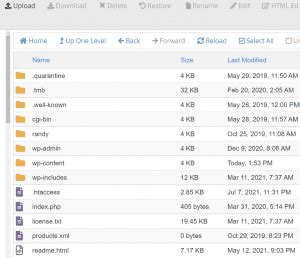 How To Fix The Parse Error Syntax Error Unexpected In WordPress