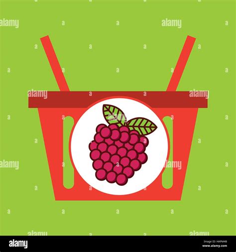 Raspberry Baskets Stock Vector Images Alamy