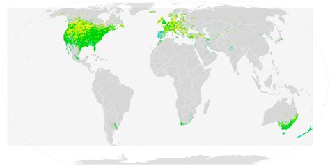 Blowing In The Wind Drift Migration Bird Buddy Blog