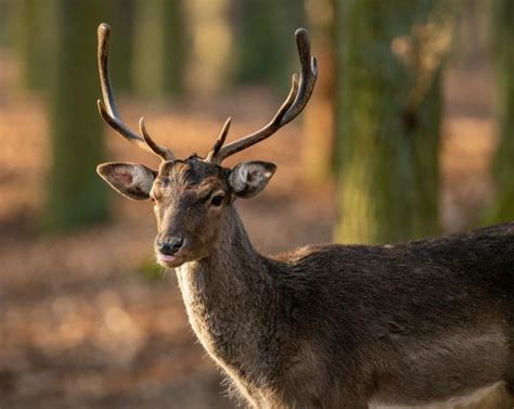《企业合规管理操作指南》 读书笔记 知乎