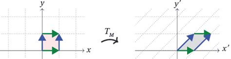 Transformation Matrix Injective