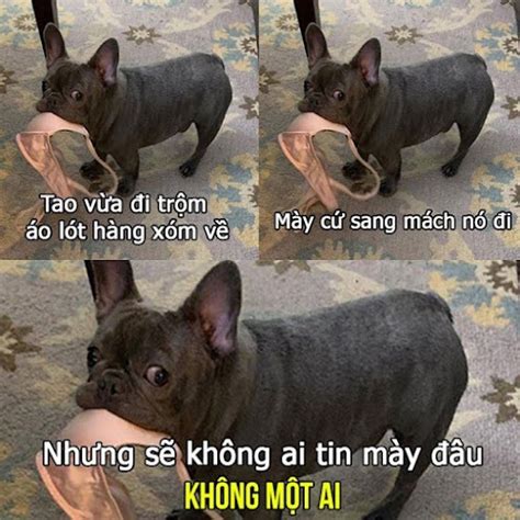 Mày không thoát được đâu con trai Cười Đã