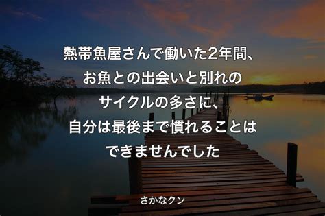 熱帯魚屋さんで働いた2年間、お魚との出会いと別れのサイクルの多さに、自分は最後まで慣れることはできませんでした さかなクン