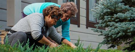 Ландшафтный дизайн участка от профессионалов АРТ 4 СЕЗОНА