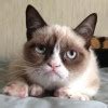 React Lazyload Npm