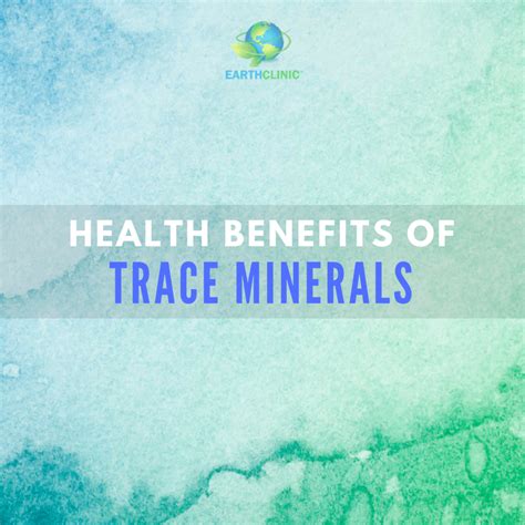 Trace Minerals For Longevity Beyond Mainstream