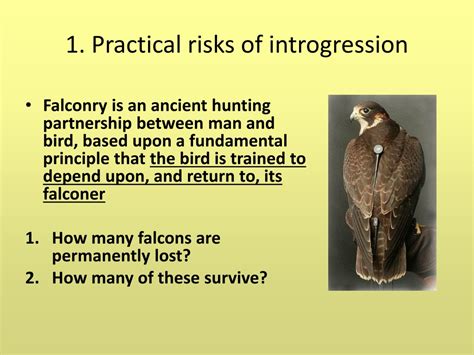 Ppt Practical Risks Of Introgression Theoretical Risks Of