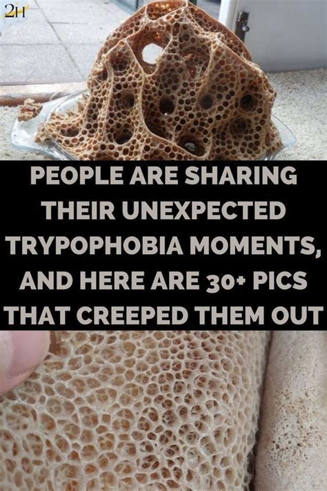 Fear Factor These Trypophobia Photos Make Us Feel Really Weird