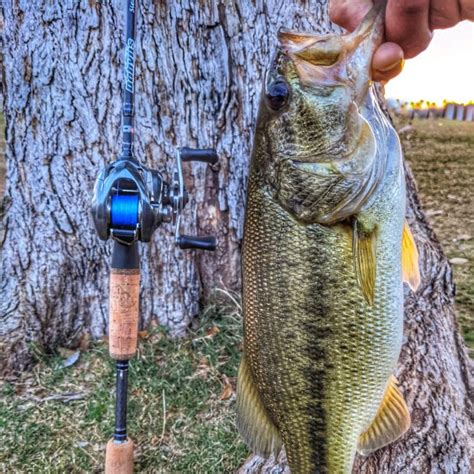 Z Man Flashback Mini Chatterbait Bait Finesse Empire