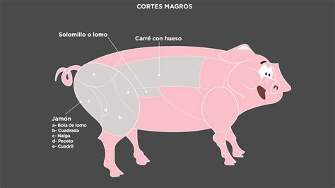5 Razones Para Incorporar Carne De Cerdo A La Rutina De Alimentación