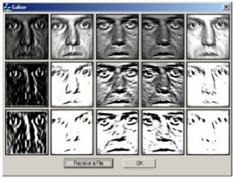 Extracted Features Of The Gabor Filter [10] Download Scientific Diagram