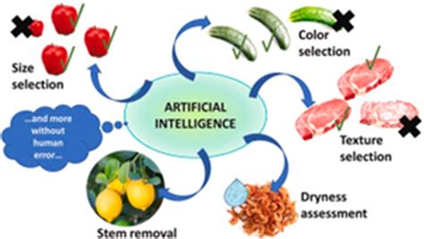 How Data Science And Ai Can Impact Food Processing And Products Industry