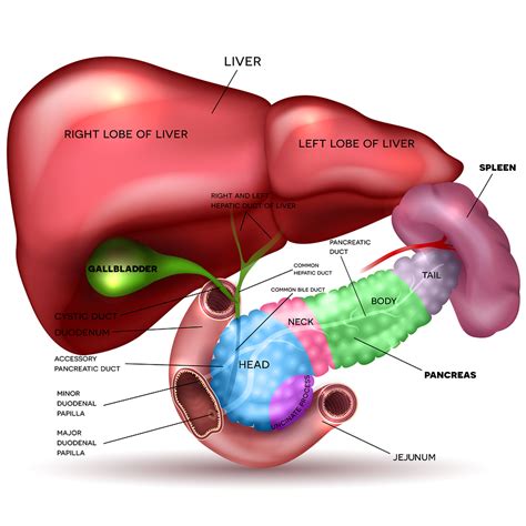 The Liver Flush Part Ii Implementation Vegacandida