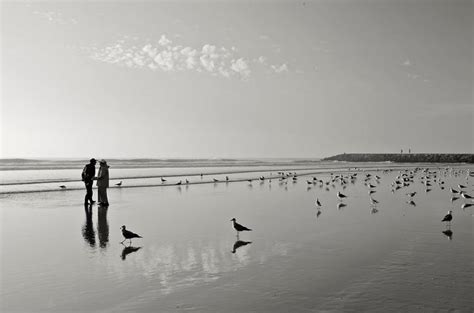 Doisdedosdeconversa By José Flacho