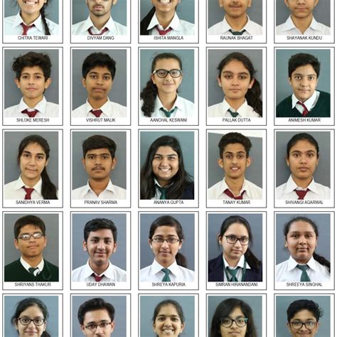 Aisse Class X Result Analysis 2016 2017 Delhi Public School R K