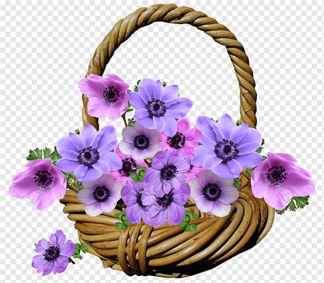 꽃 아네모네 바구니 배열 정원 Png Pngwing