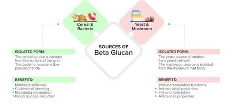 Sources Of β Glucan Adapted From 84 Download Scientific Diagram