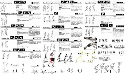 Talkhealth Bc Mobiletv Wiki Warrior Workout Calisthenics