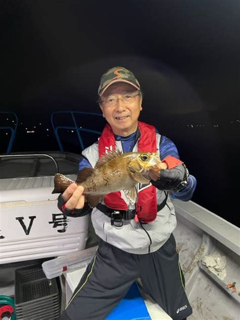 半夜メバル釣果 釣果情報 新着情報 広島で釣りをするなら南区の小川釣具