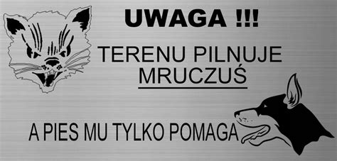 TABLICZKA UWAGA ZŁY PIES I KOT GRAWER Allegro pl