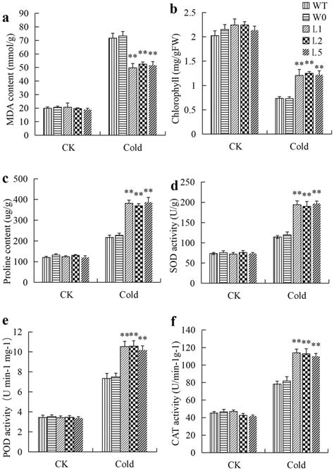 Effects Of Vuwrky Overexpression On Physiological Indexes Of