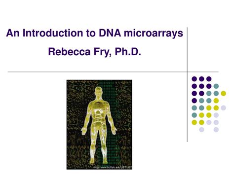 Ppt An Introduction To Dna Microarrays Rebecca Fry Ph D Powerpoint Presentation Id 3386818
