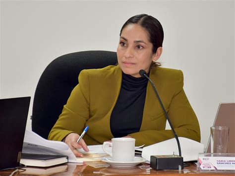 Boletín Instituto Estatal Electoral De Aguascalientes