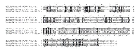 Figuer 2 Multiple Alignment Of Primary Structures Of 4 β Lactamases