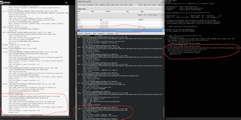 Don T Get VLAN DHCP Ip Address On My Virtual Machine Guest Netgate
