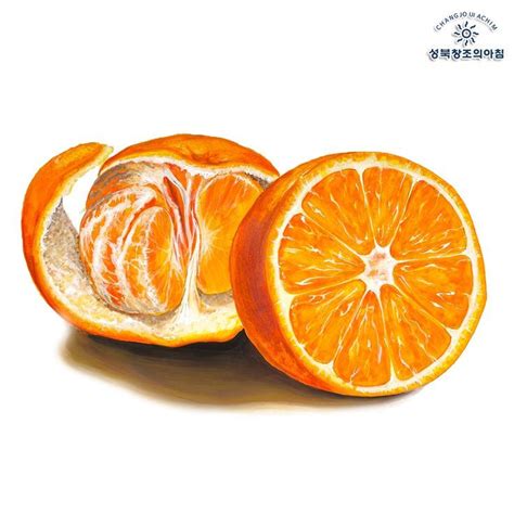 성북창조의아침] 귤 개체묘사 Orange Drawing Dibujos De Frutas Frutas Y Verduras