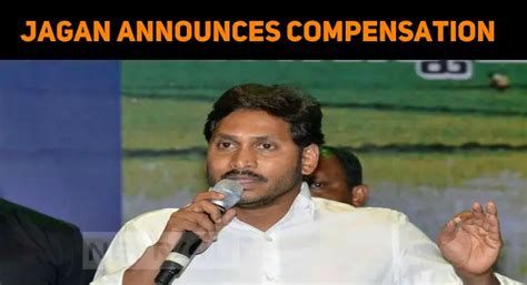 Jagan Mohan Reddy Announces Compensation Vizag Gas Leak Nettv4u