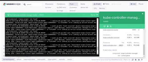 Monitor Docker Containers And Kubernetes Using Weave Scope